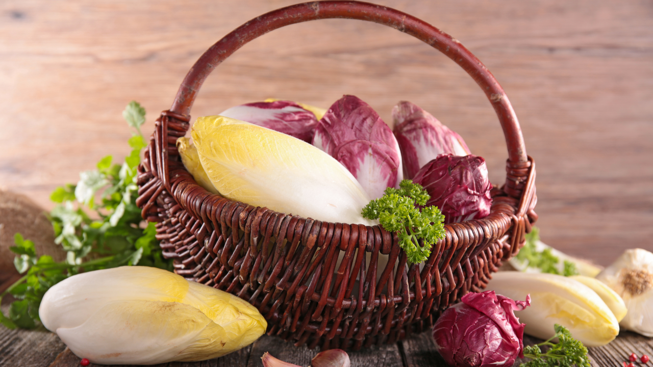 Propiedades y usos de la Achicoria - Zana tu mente