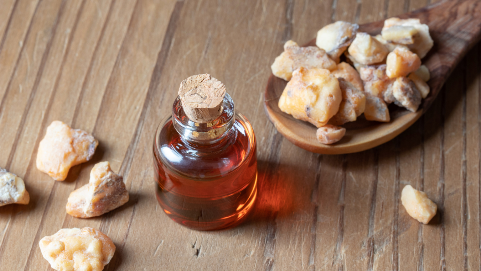 Propiedades y usos del Benjuí o Árbol del Benjuí - Zana tu mente