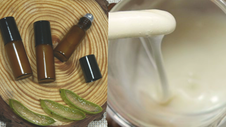 Cómo hacer y conservar gel de Aloe vera natural - Zana tu mente