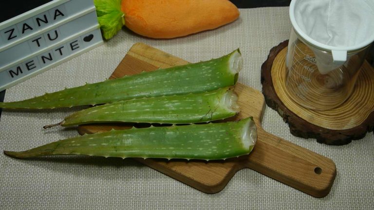 Cómo hacer y conservar gel de Aloe vera natural - Zana tu mente