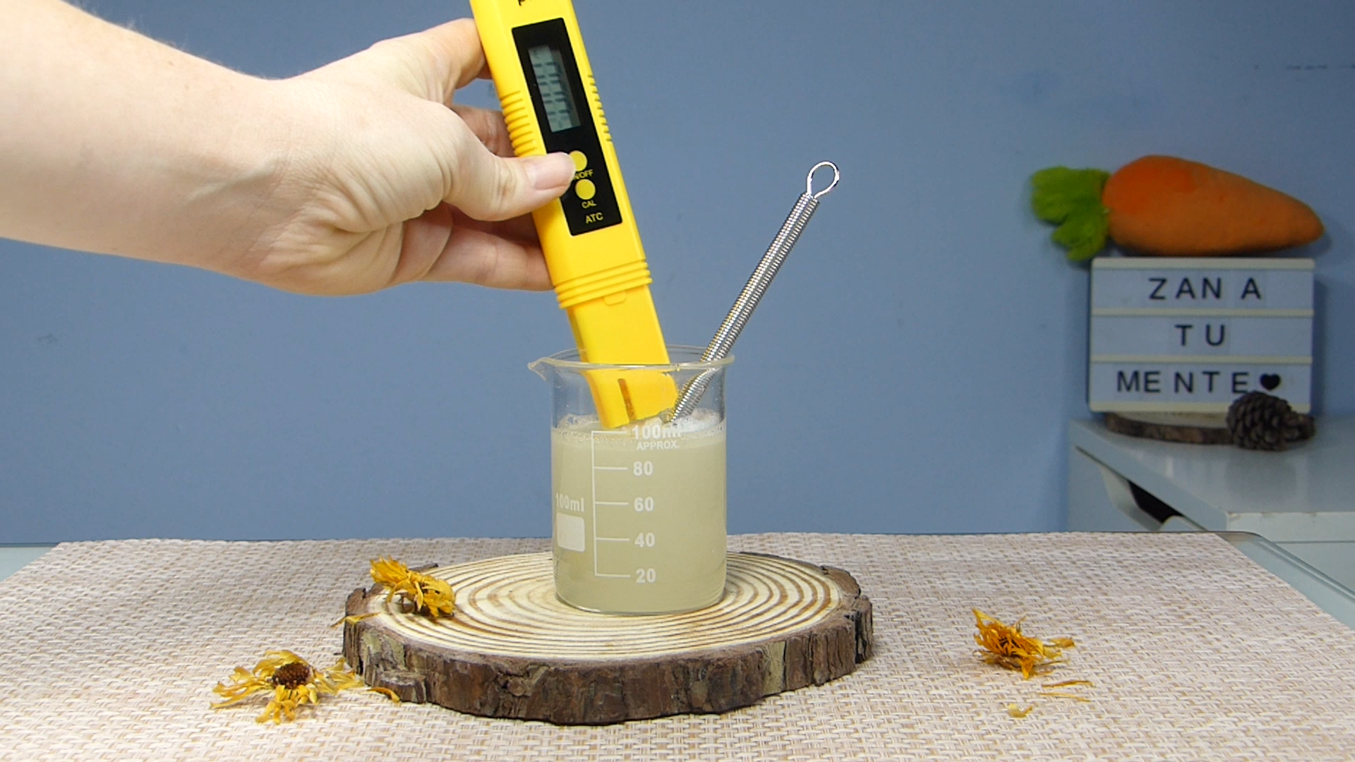 Crea tu propia Agua Micelar Natural - Zana tu mente