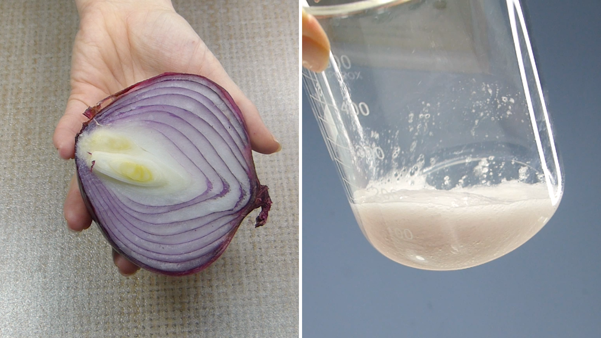 Champú de Cebolla para el Crecimiento del Pelo - Zana tu mente